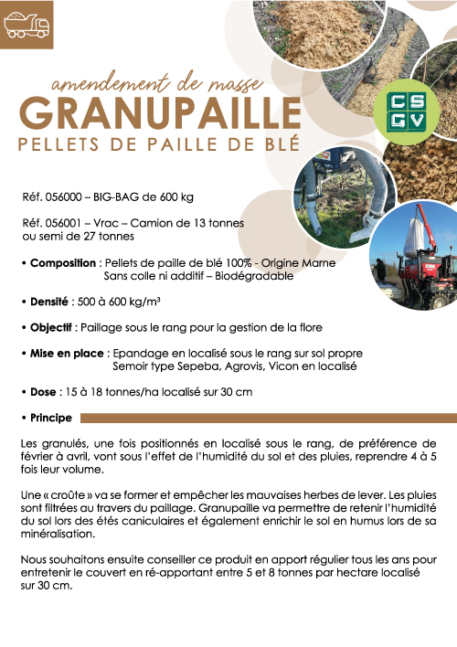 Documentation - CSGV