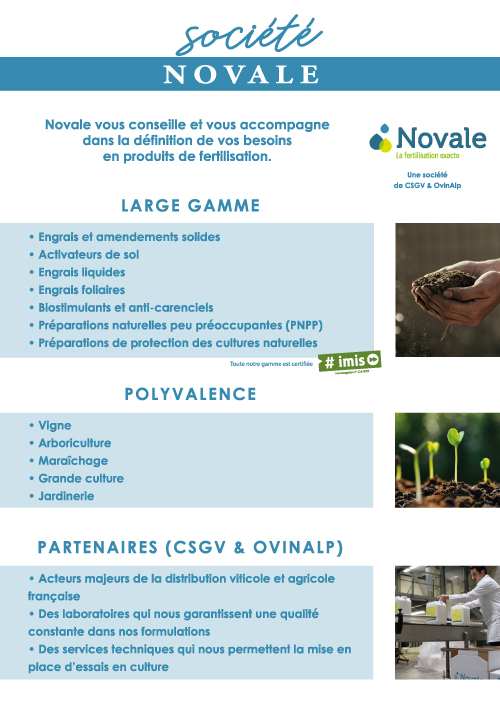 Documentation | CSGV