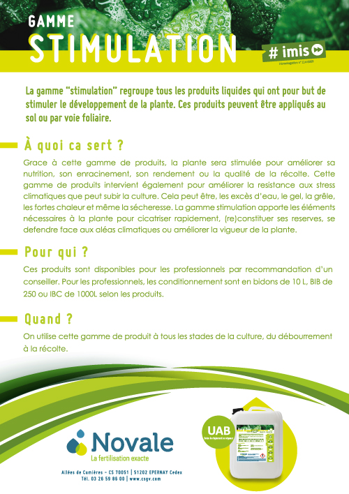 Documentation | CSGV