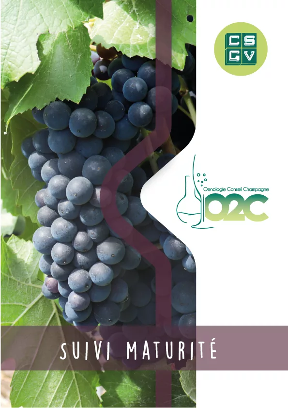 Documentation - CSGV