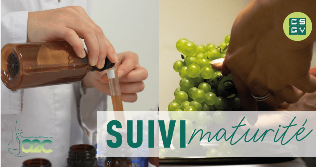 SUIVI MATURITÉ 2023 - CSGV