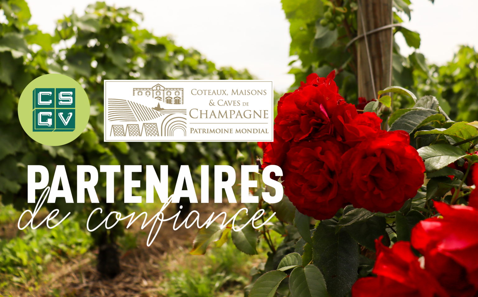 La CSGV et Coteaux, Maisons et Caves de Champagne - Patrimoine Mondial ...